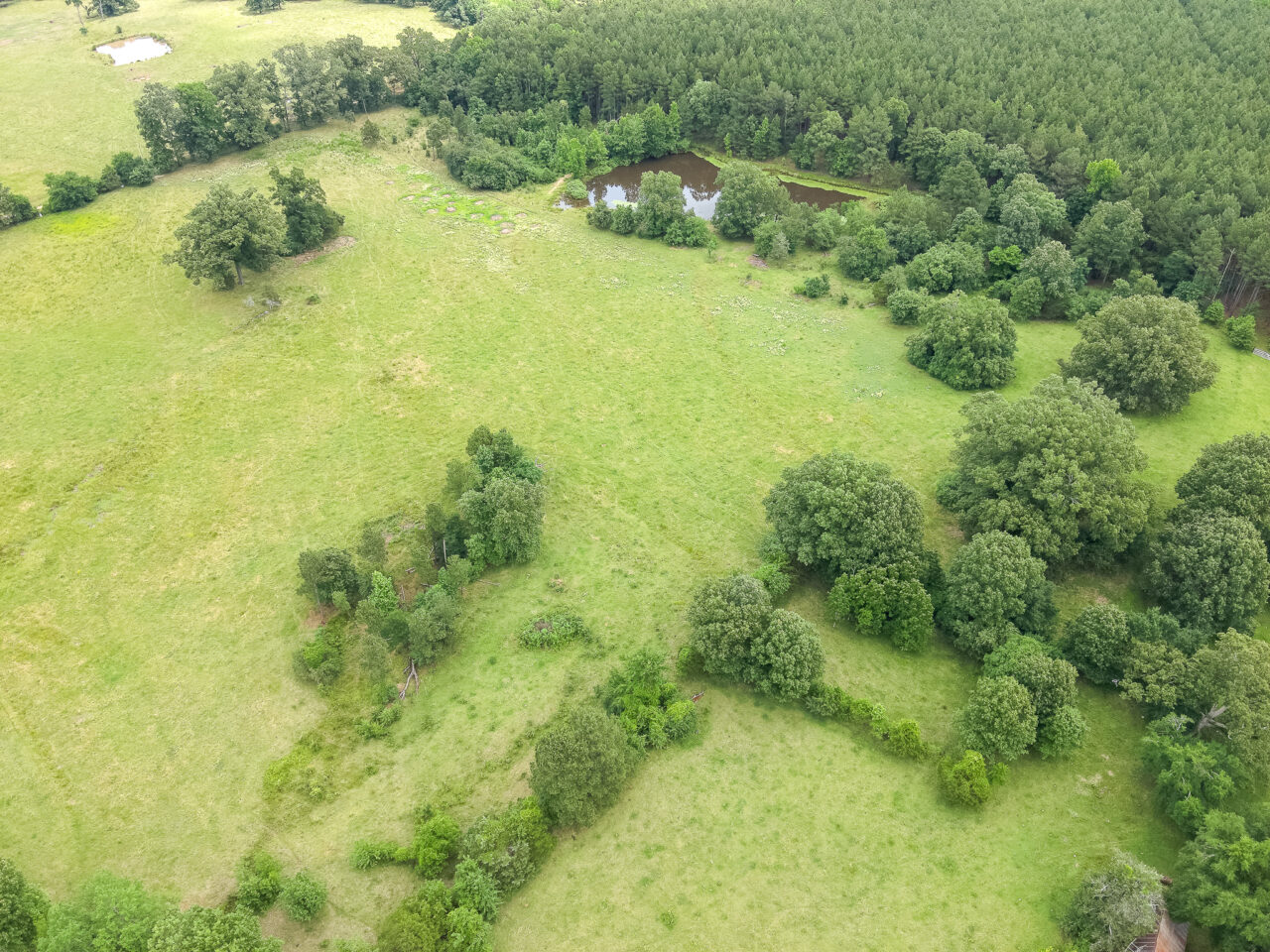 Henry Farm | Lile Real Estate